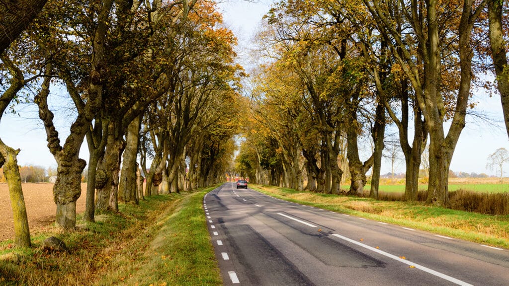 Cheapest Car Insurance in Oklahoma (June 2025 Rates)