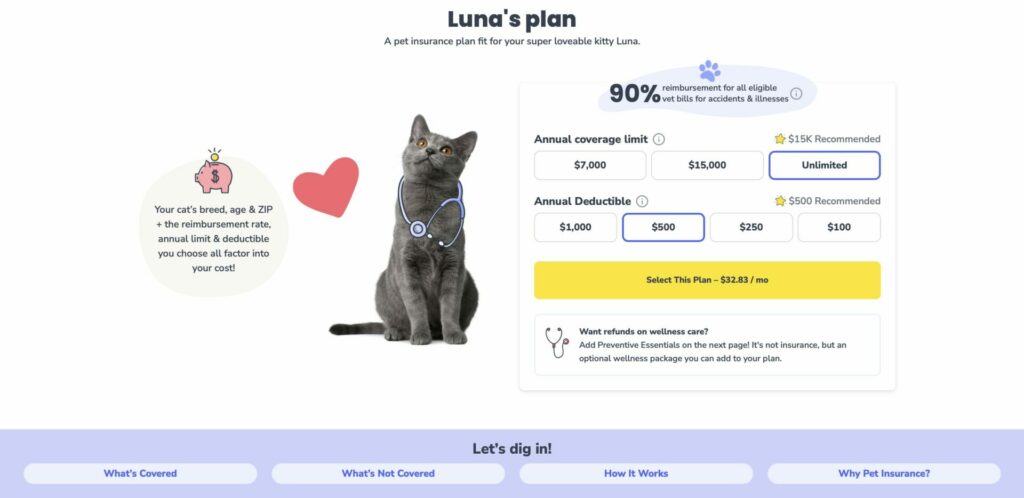 Pumpkin Pet Insurance Review and Pricing (2025)